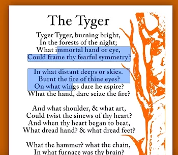 Copiare, tradurre e modificare il testo dalle immagini • Scuolissima.com