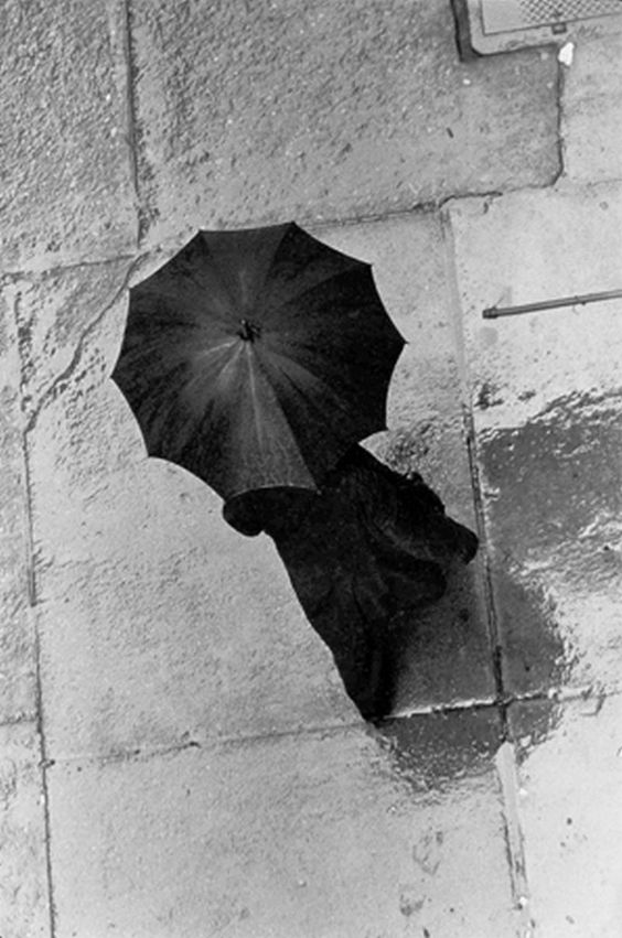 Lyssa humana: Photographer: David Vestal