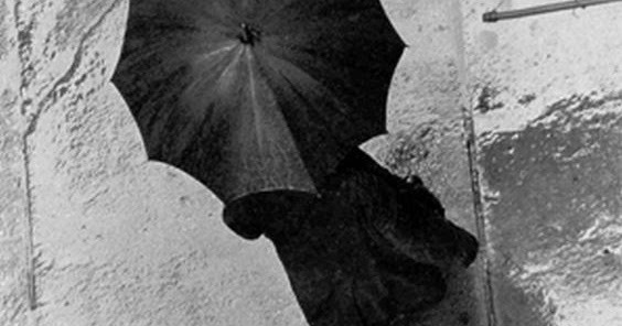 Lyssa humana: Photographer: David Vestal