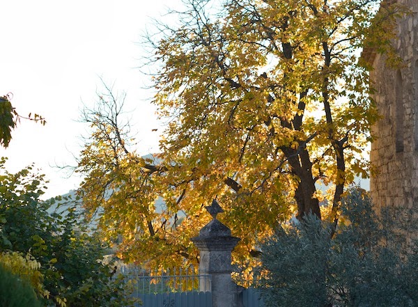 MaiTai's Picture Book: Capsule wardrobe #114 - gold, rust and blue