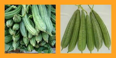 USHA'S KITCHEN: Ridge gourd also Known as Turai or Turiya