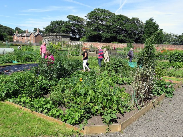 6 Tips for Setting Up Community Gardens in HOA Neighborhoods