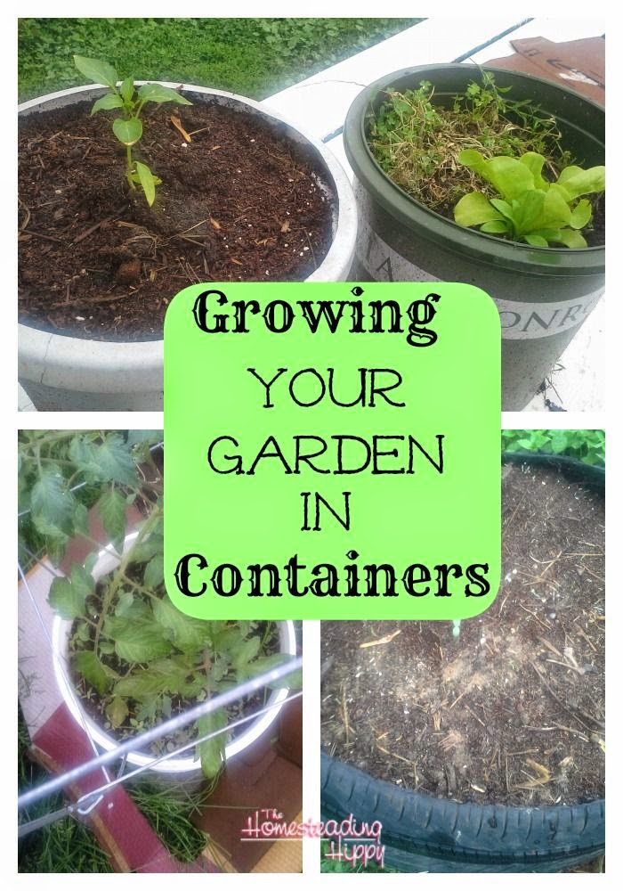 How To Grow A Garden In Containers at Saul Carroll blog