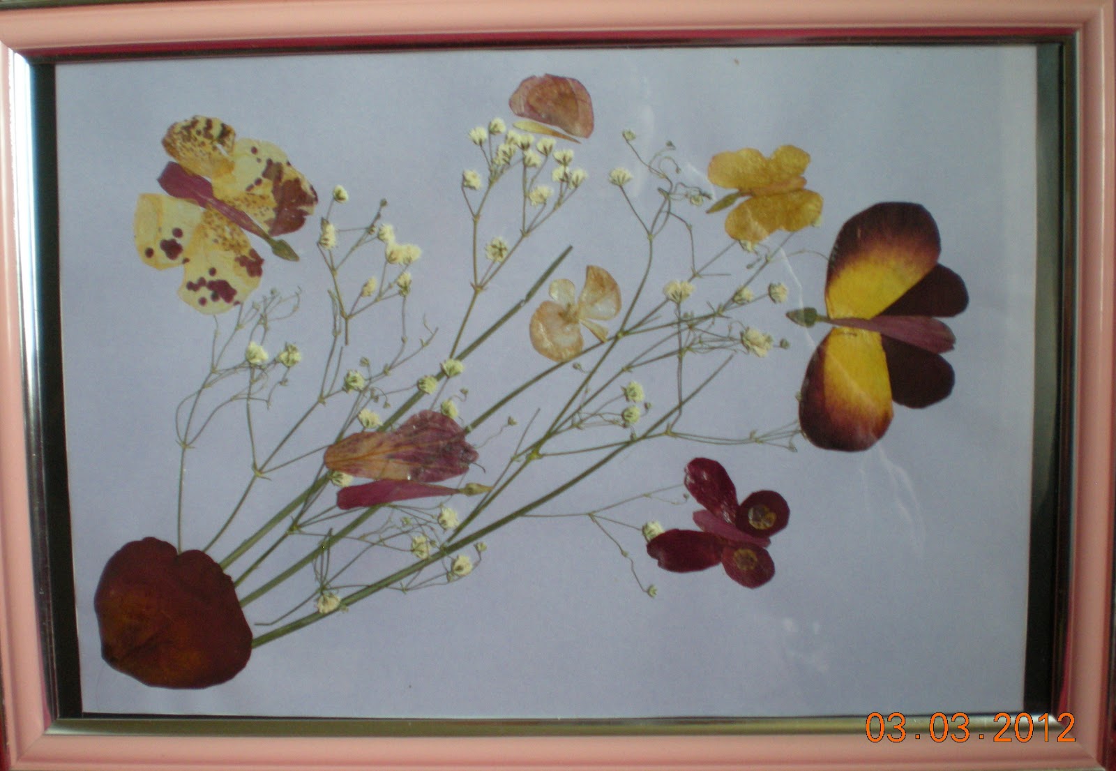 Slike od presovanog cveca i lisca: Slike od suvog cveca i lisca