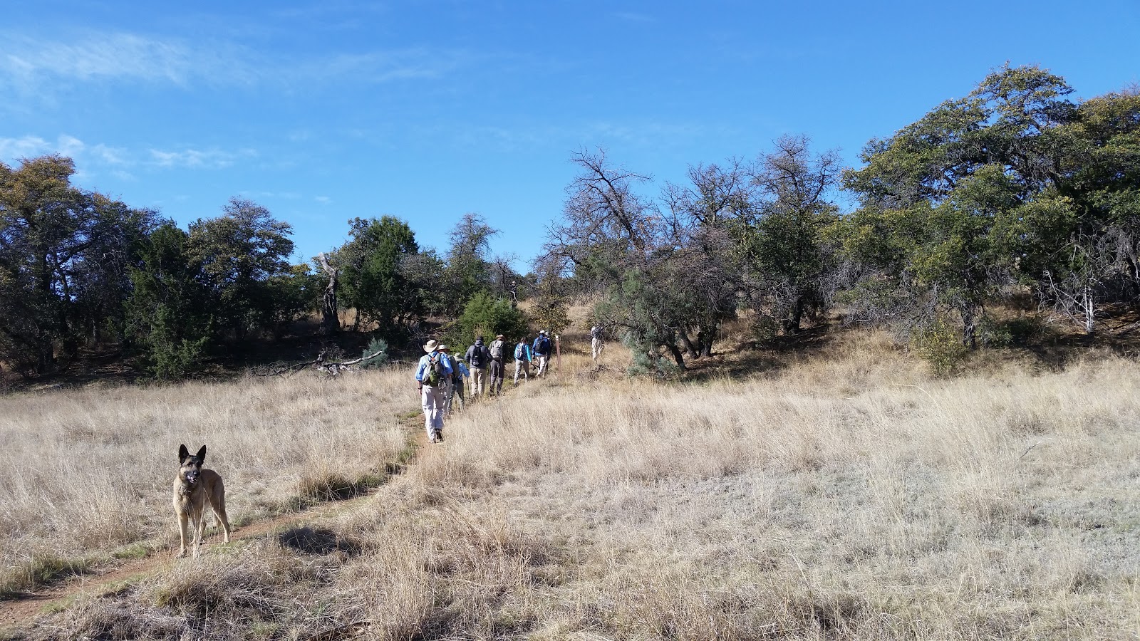 Dog Snot On My Windshield: The Arizona Trail: from Box Camp Road south ...