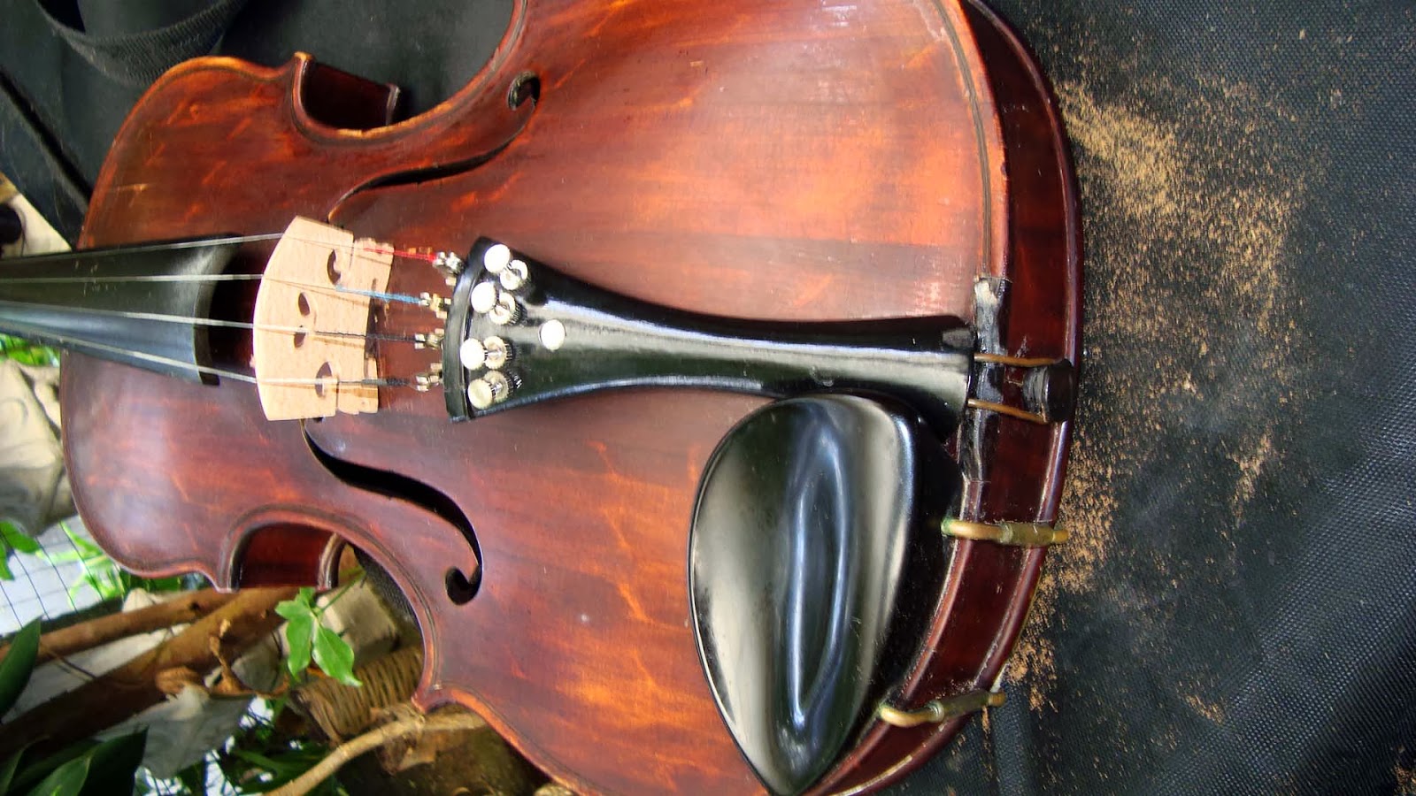 Living with Nature - School on Blog by Dr. Abercio V. Rotor: Violin ...