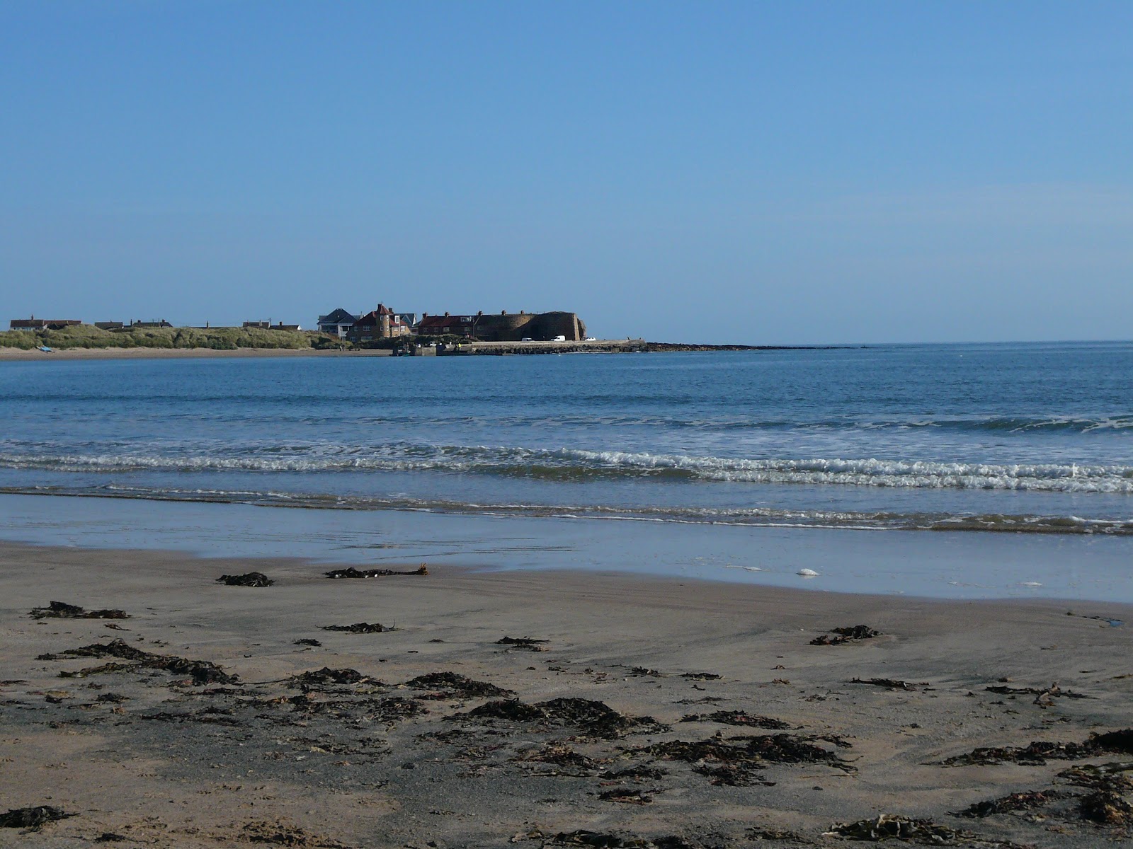 OUT and About with Ellen Dean - Author: Beadnell Bay - Northumberland