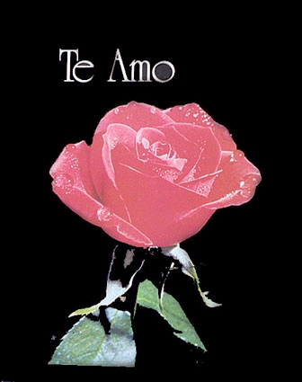 Imágenes gifs con frases Te Amo