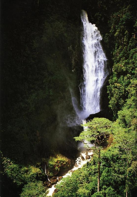 my real life adventures: Usun Apau Plateau