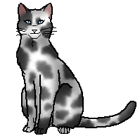 Bugs Blog: Leader Warrior Cats
