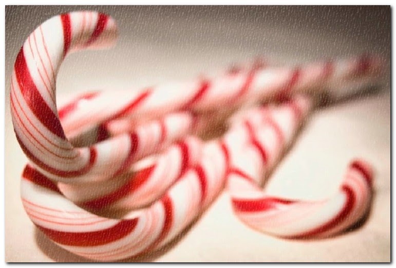 Daily Journey: The Story Of The Candy Cane