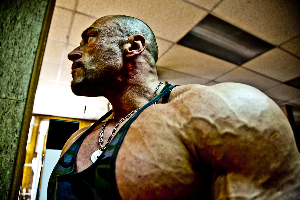 Muscle Lover: Spanish bodybuilder Roberto Del Amo