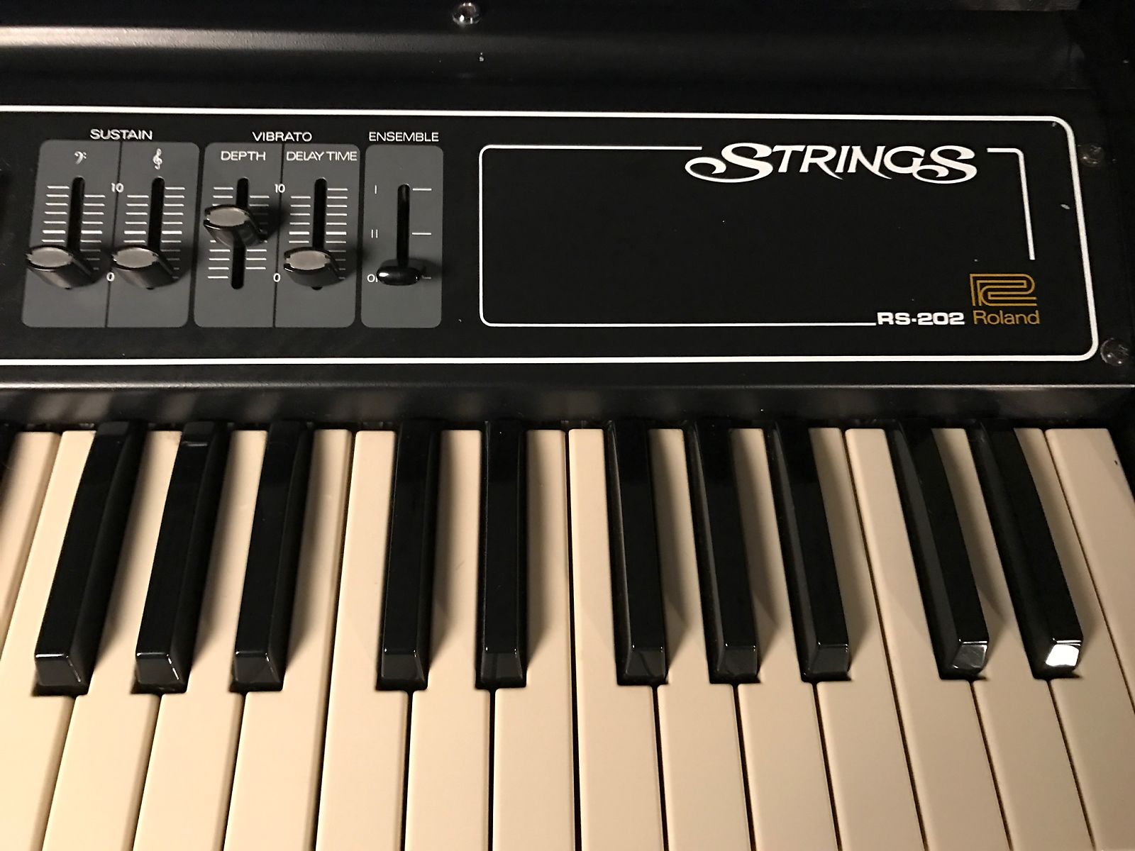 MATRIXSYNTH: Roland RS-202 Strings with Flightcase