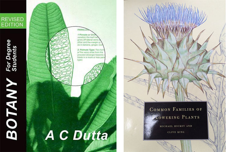 CLARE MITTEN: Research/Studio Visit: Sarah Simblet