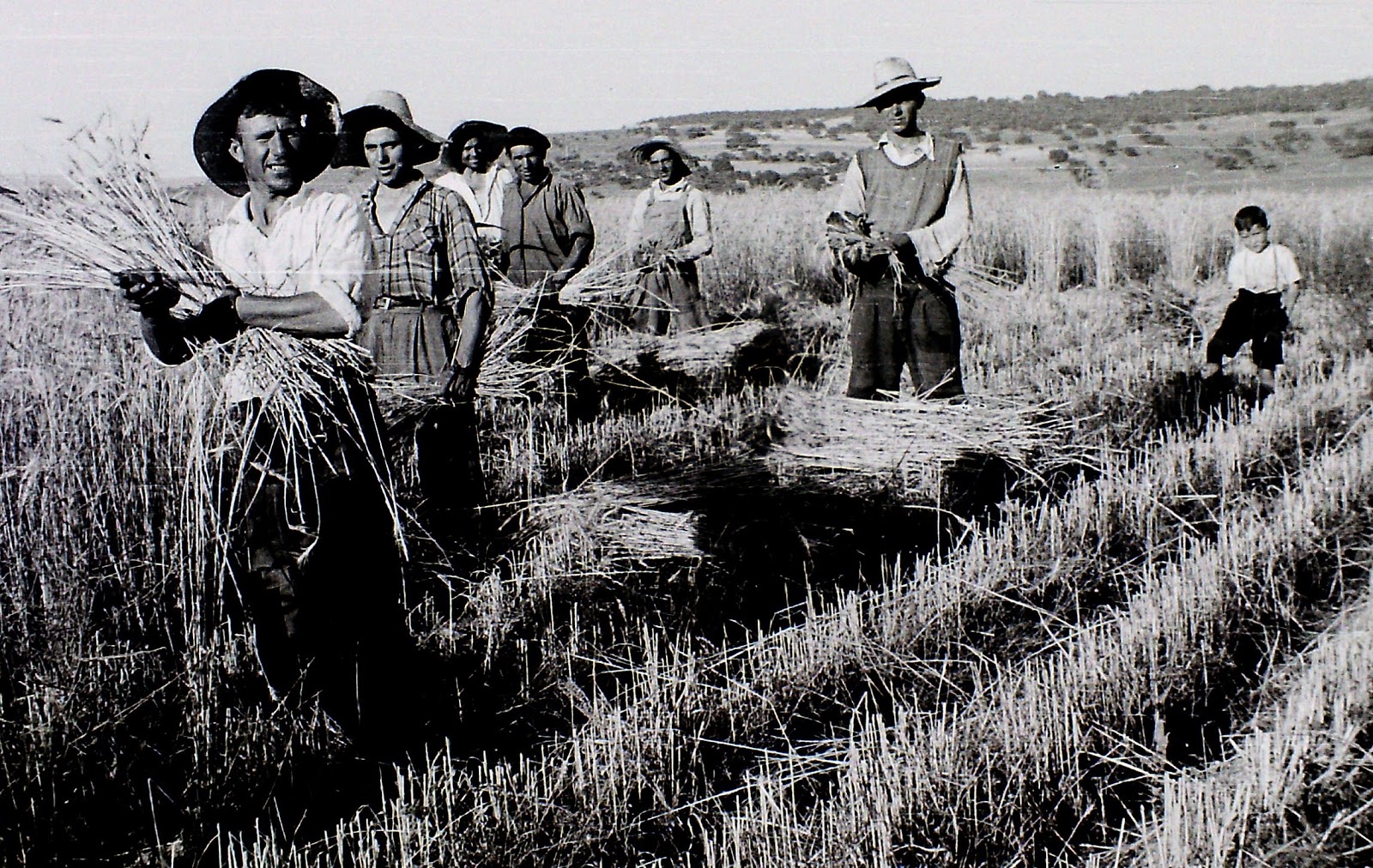 Escribir Por Afición: LOS SEGADORES.
