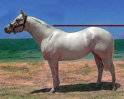 CONFORMATION FAULT: Sickle Hocks