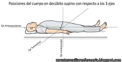 Posición de Decúbito Supino | APUNTES AUXILIAR ENFERMERIA