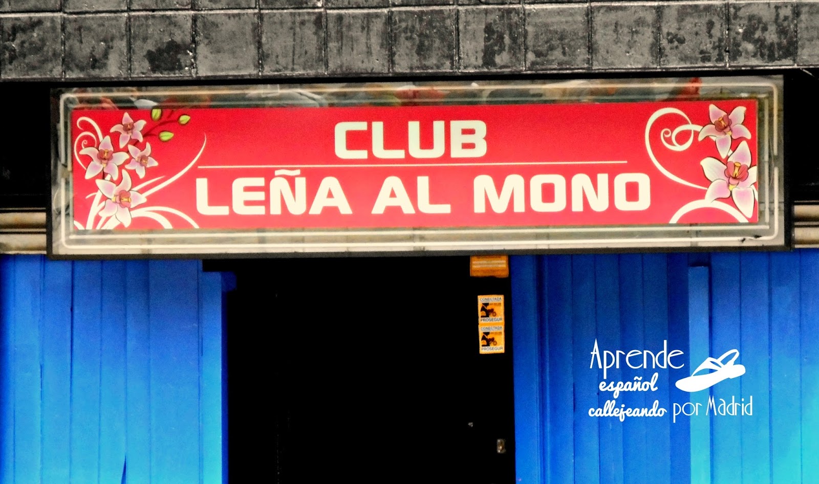 El último mono - Aprende español callejeando por Madrid