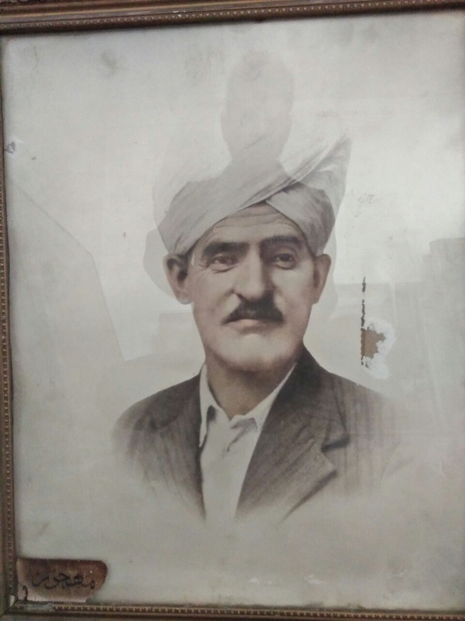 CHINAR SHADE : ARTIST MOHAN RAINA DESIGNED THE EMBLEM OF JAMMU AND ...