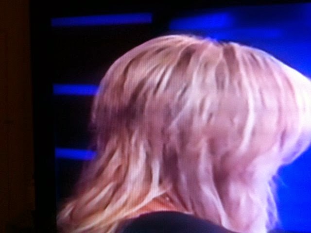 The Scat from Fox News, Commentary on Fox News Anchors, The Plastic ...