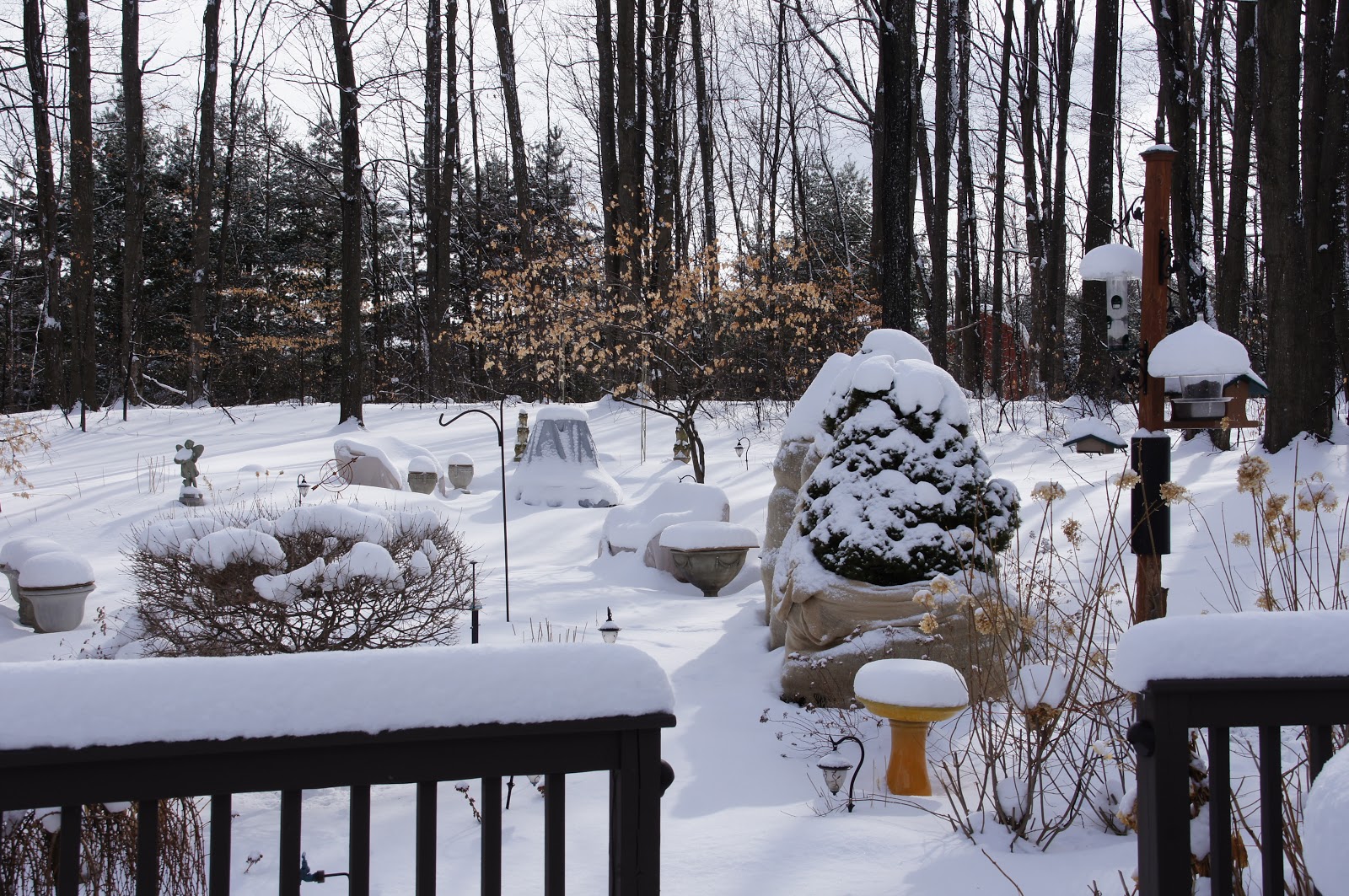 Home and Gardening With Liz: Weather's Artistry and Ready For Spring to ...