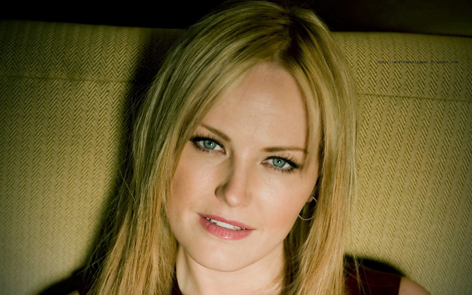 Malin Akerman HD Wallpapers