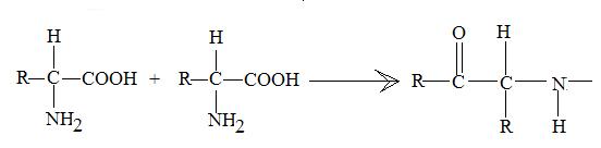 Polymer system of wool ~ Yarn Manufacturing