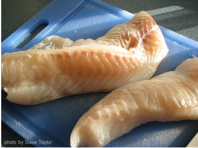 The Moose Curry Experience: An Act of Cod: Indian-Spiced Fish & Chips