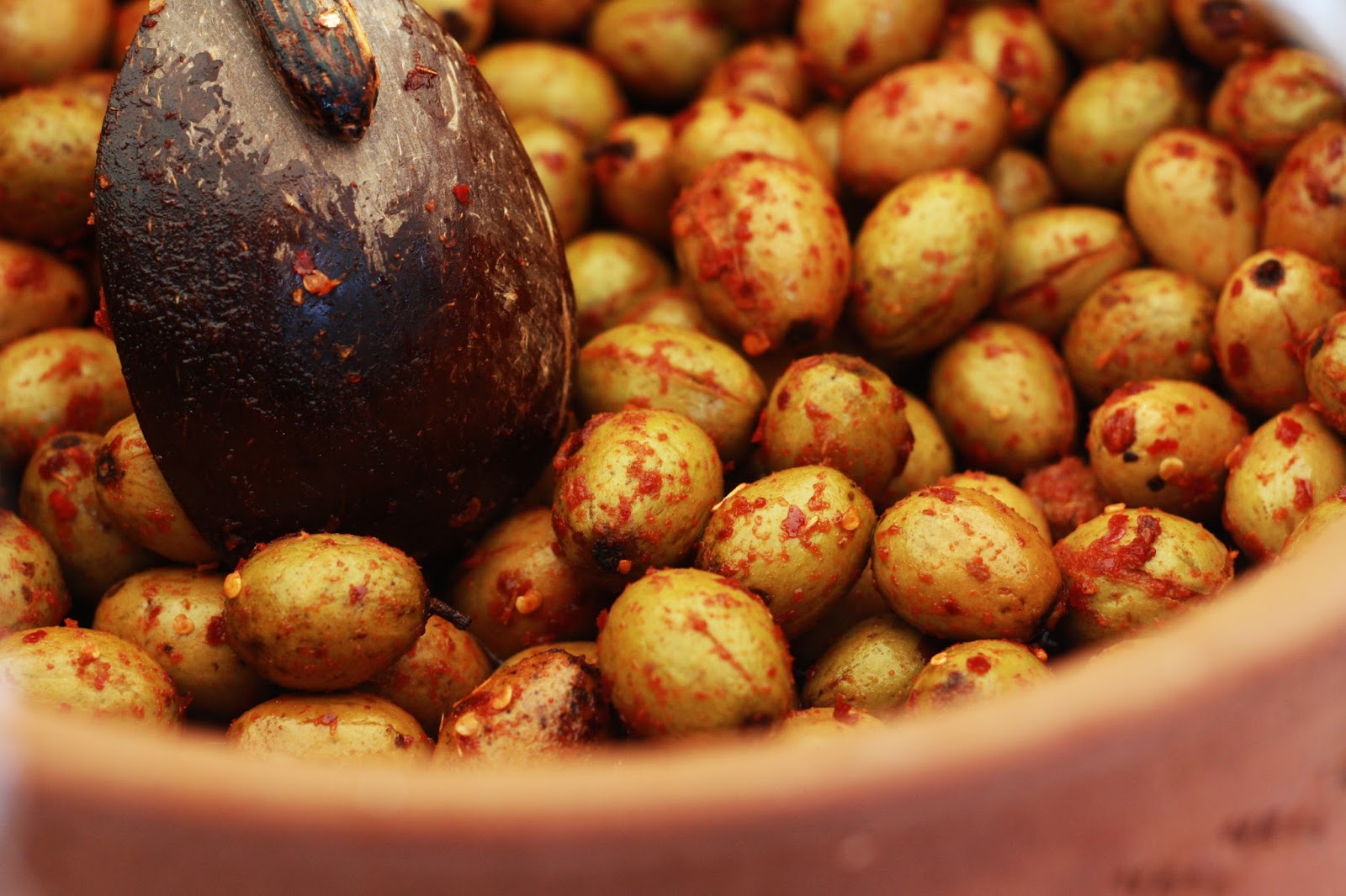 අත්තම්මාගේ අත්බෙහෙත්: වෙරළු (Ceylon Olives / Elaeocarpus serratus)