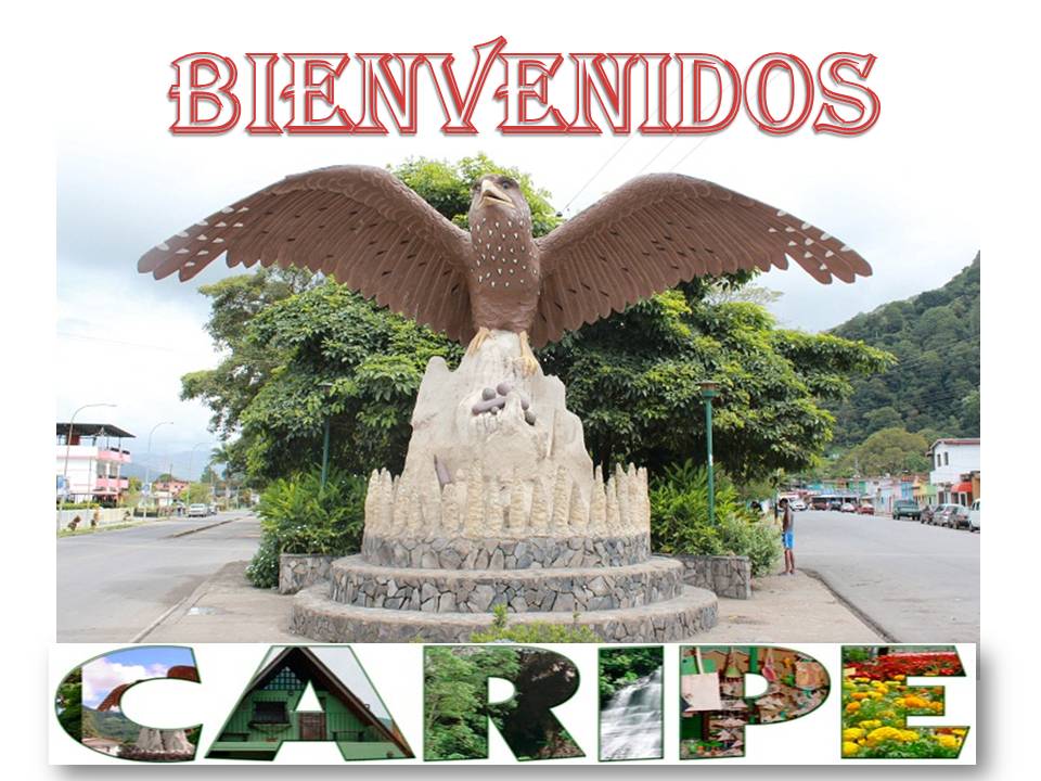 LOS TRIBUTOS EN EL MUNICIPIO CARIPE