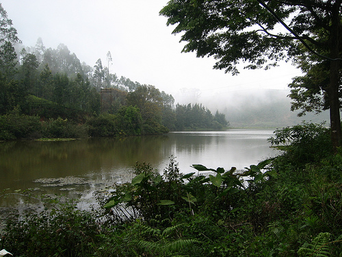 Coonoor Tourism | Coonoor Sightseeing | Coonoor India