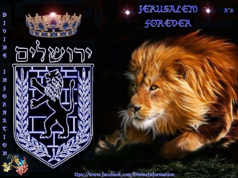 Love For His People: Lion of Judah - A Beautiful Collection of Artwork