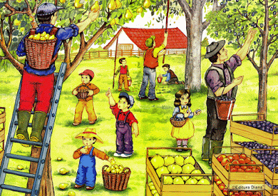 ASPECTE DE TOAMNA - IMAGINI PENTRU COPII CU ANOTIMPUL TOAMNA :: Fise de lucru - gradinita si scoala