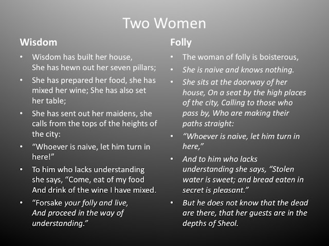 Wild-Voice: Wisdom vs Folly/ Cautam intelepciune sau nebunie?