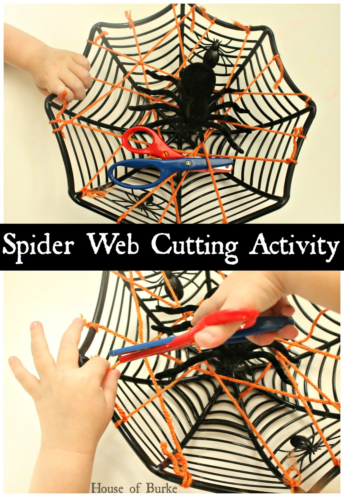 House of Burke: Spider Web Cutting Activity