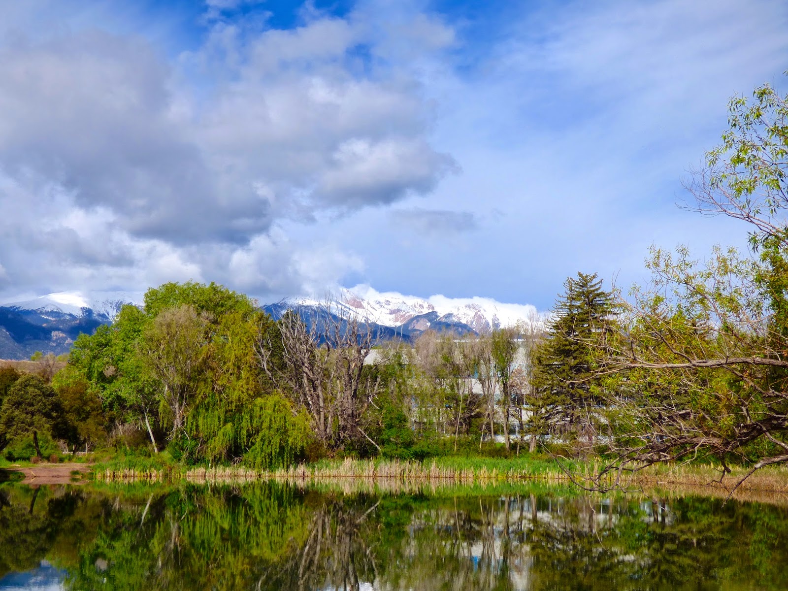 Otowi: Sinton Pond and Sonderman Park 5/25/15