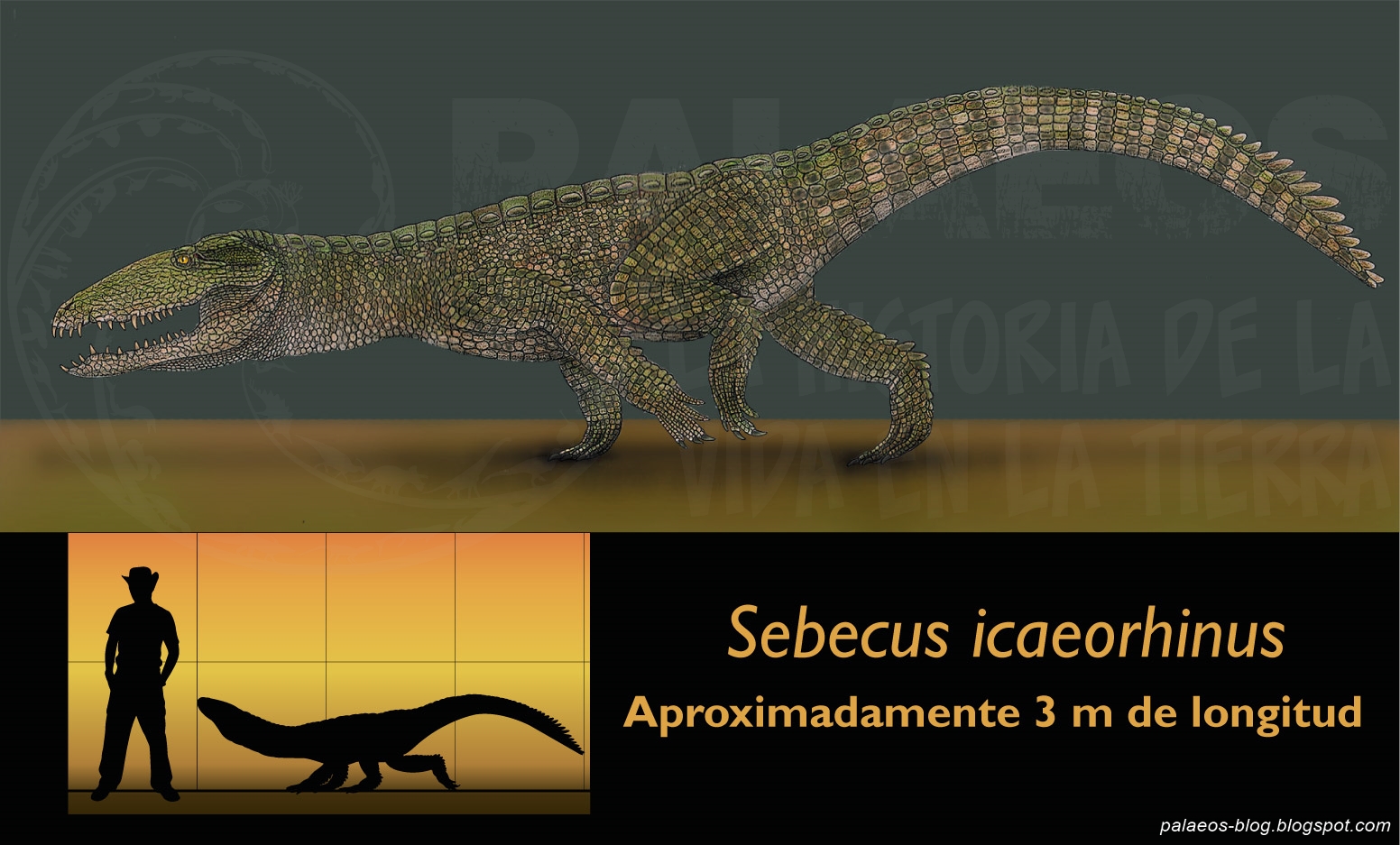 Escenarios prehistóricos: Sebecus