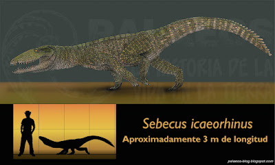 Escenarios prehistóricos: Sebecus