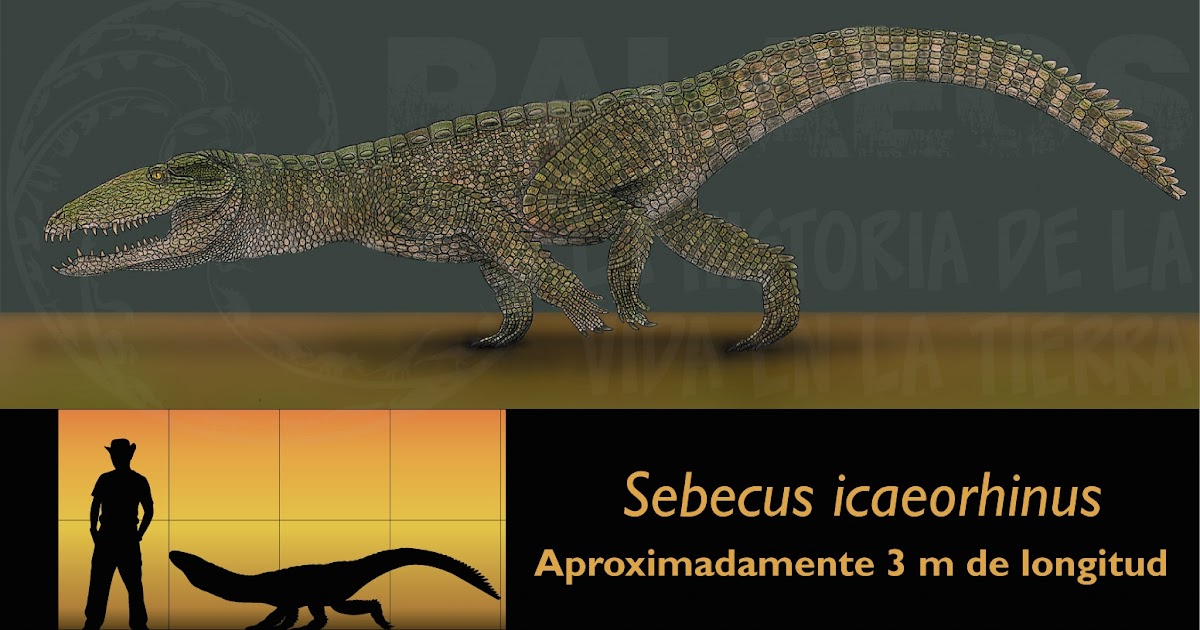Escenarios prehistóricos: Sebecus