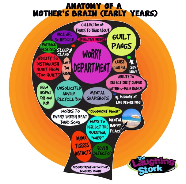 Naturallysta: Anatomy of a Mother’s Brain!