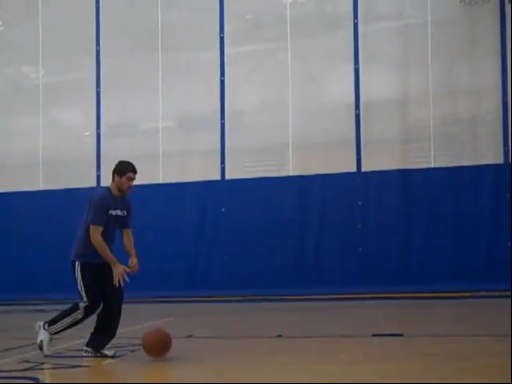 Bermudez Biomechanics Blog