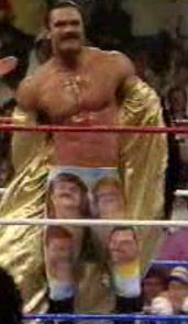 Rock Star Gary reflects on WWF Survivor Series 1989 - Scott's Blog of Doom!