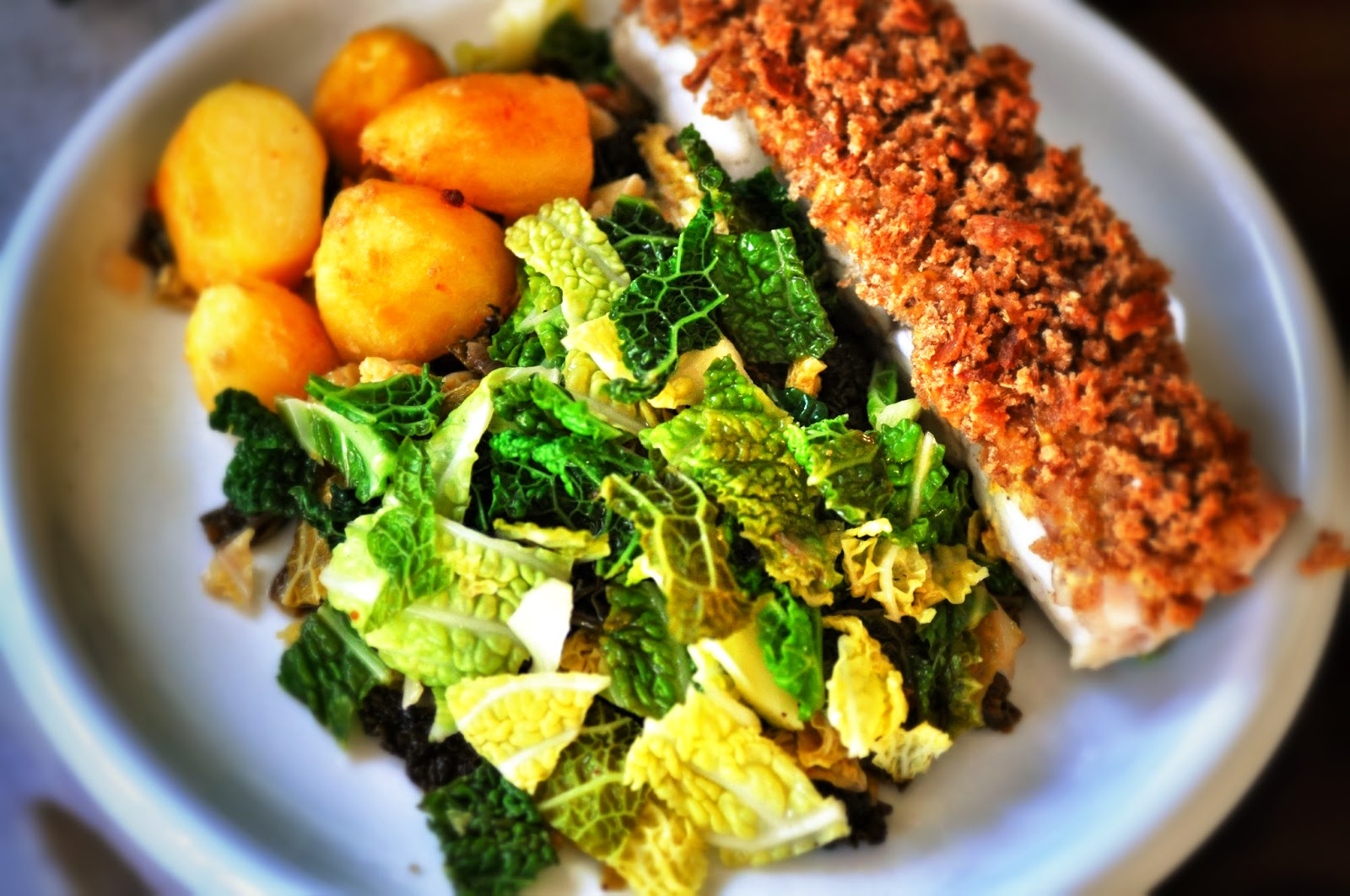 Welsfilet mit Schwarzbrotbröseln und Kohl - Kubiena - Kochblog