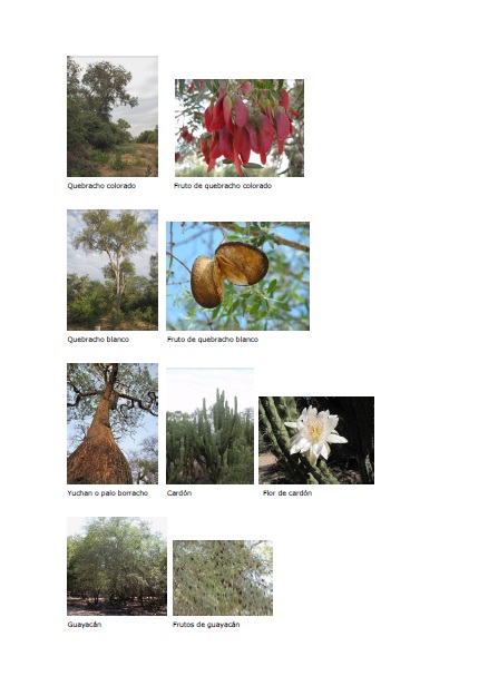 Reserva Natural Formosa: Ambientes, Flora y fauna