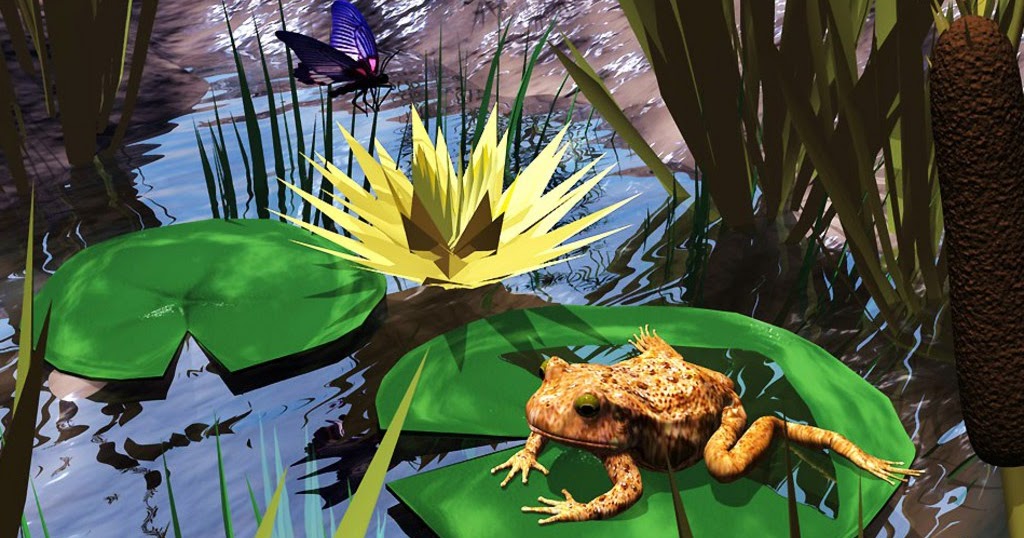 Knowledge Channel: What is pond life?