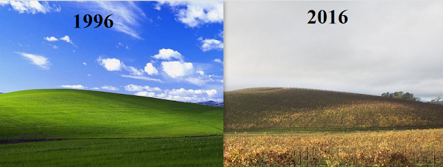 Voici l'Histoire Cachée Derrière Le Fond D'écran Iconique De Windows