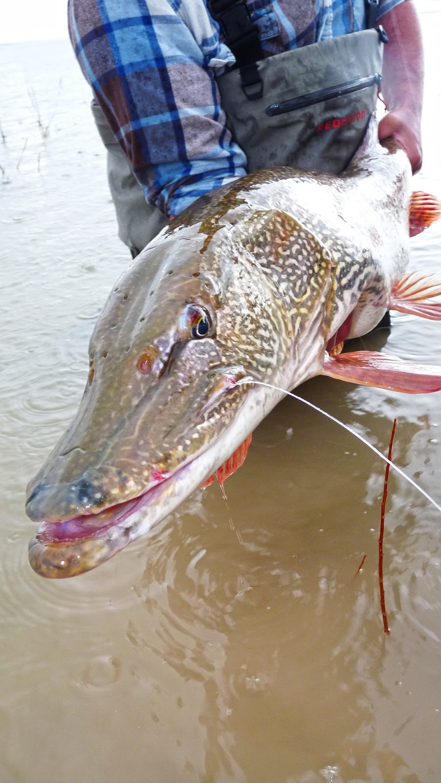 Utah Stillwaters: Rocky Mountain Pike Conclave