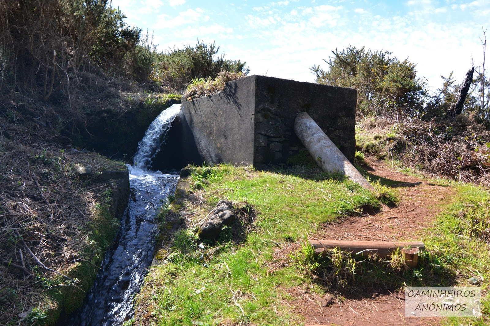 Caminheiros Anónimos Levadas da Madeira : Levada Grande (Achadas da Cruz)