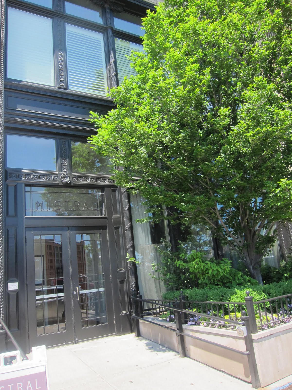 Mistral, Boston MA | Endo Edibles