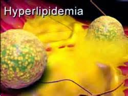 Easy Medical Terminology : Hyperlipidemia